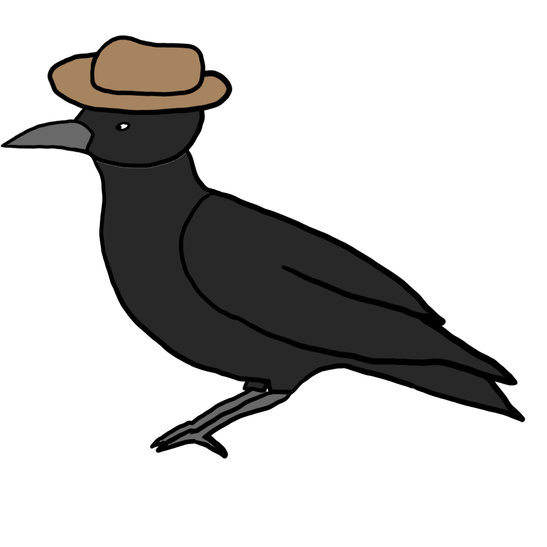 About – Crow the Gecko Hunter