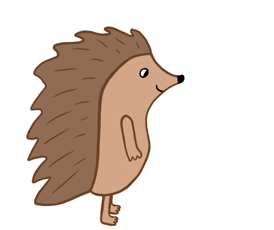About – Crow the Gecko Hunter