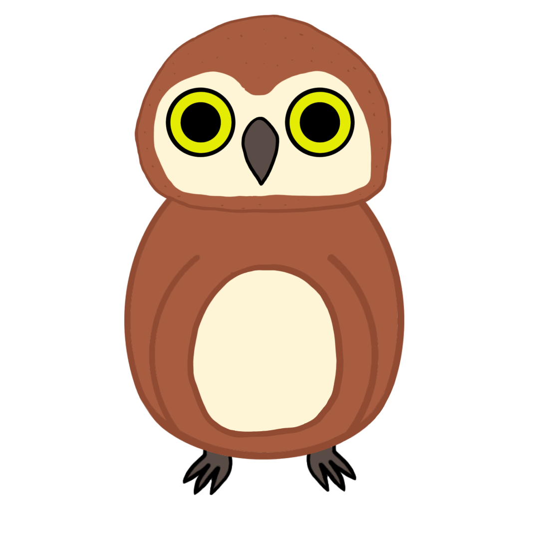 About – Crow the Gecko Hunter